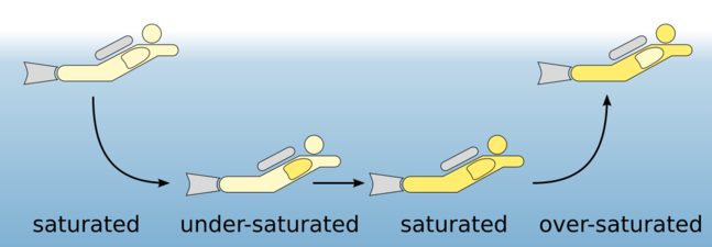 Inert gas saturation - Taucherpedia