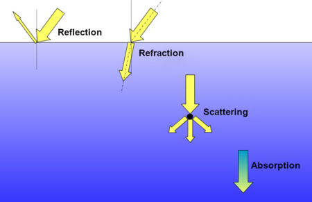Light - Taucherpedia